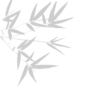 焦茶 (KOGECHA, 焦茶) - 中国传统色 | 探索中国古老色彩智慧 | 传统色卡 | 中国色彩文化 | 设计灵感